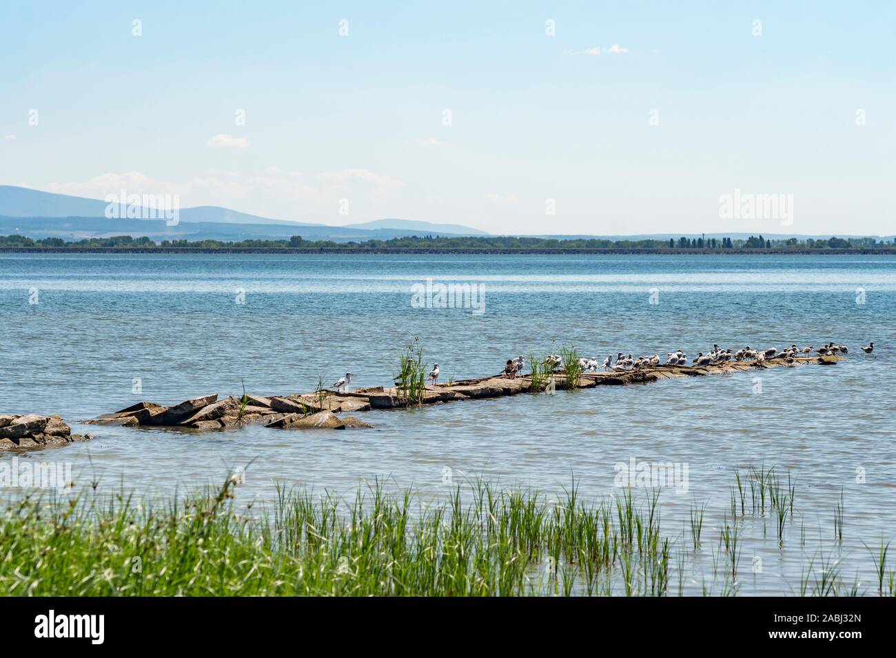 Zemplinska sirava hi-res stock photography and images - Alamy