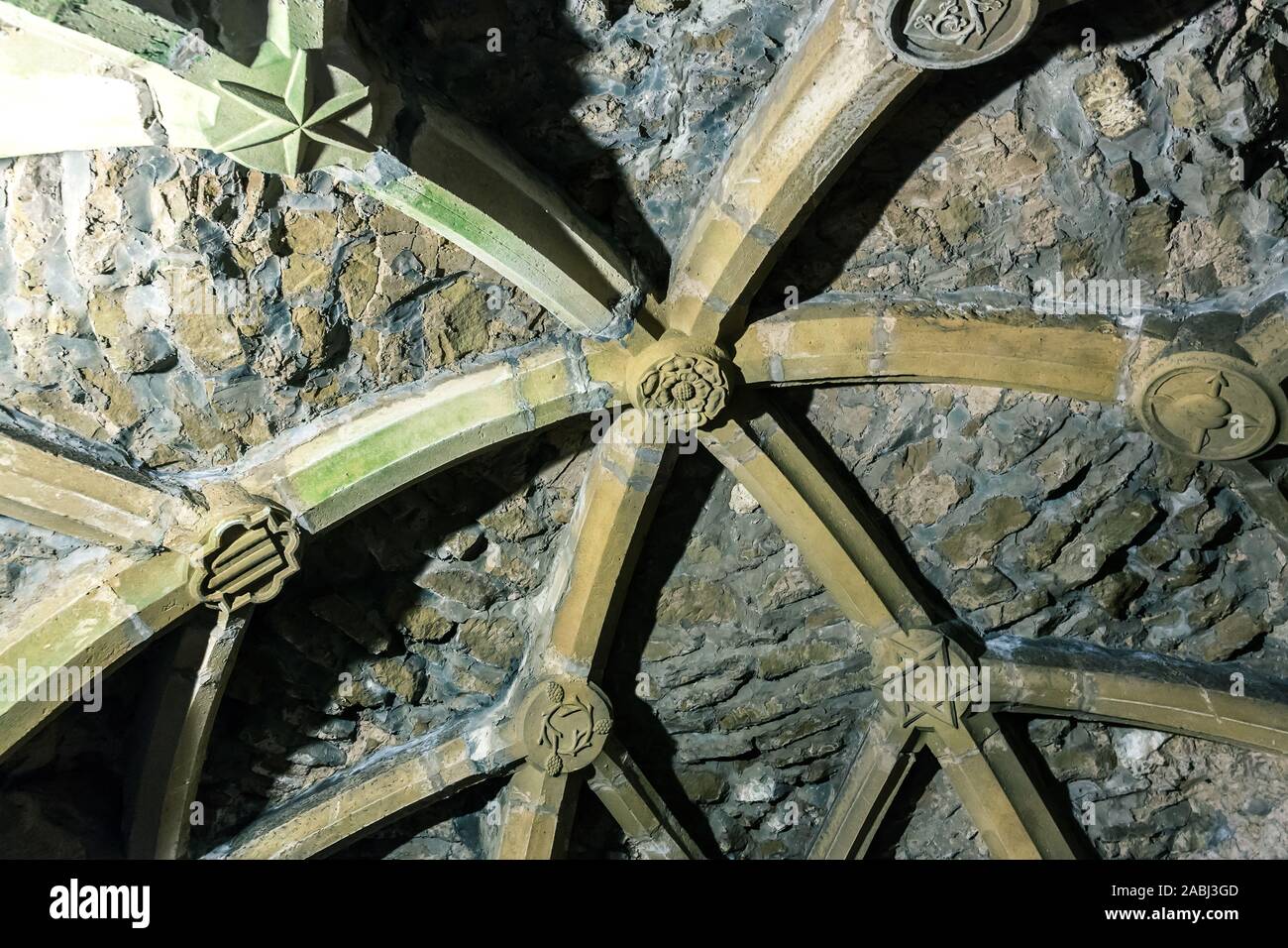 Old castle ruins, walls covered with moss, Europe Stock Photo - Alamy