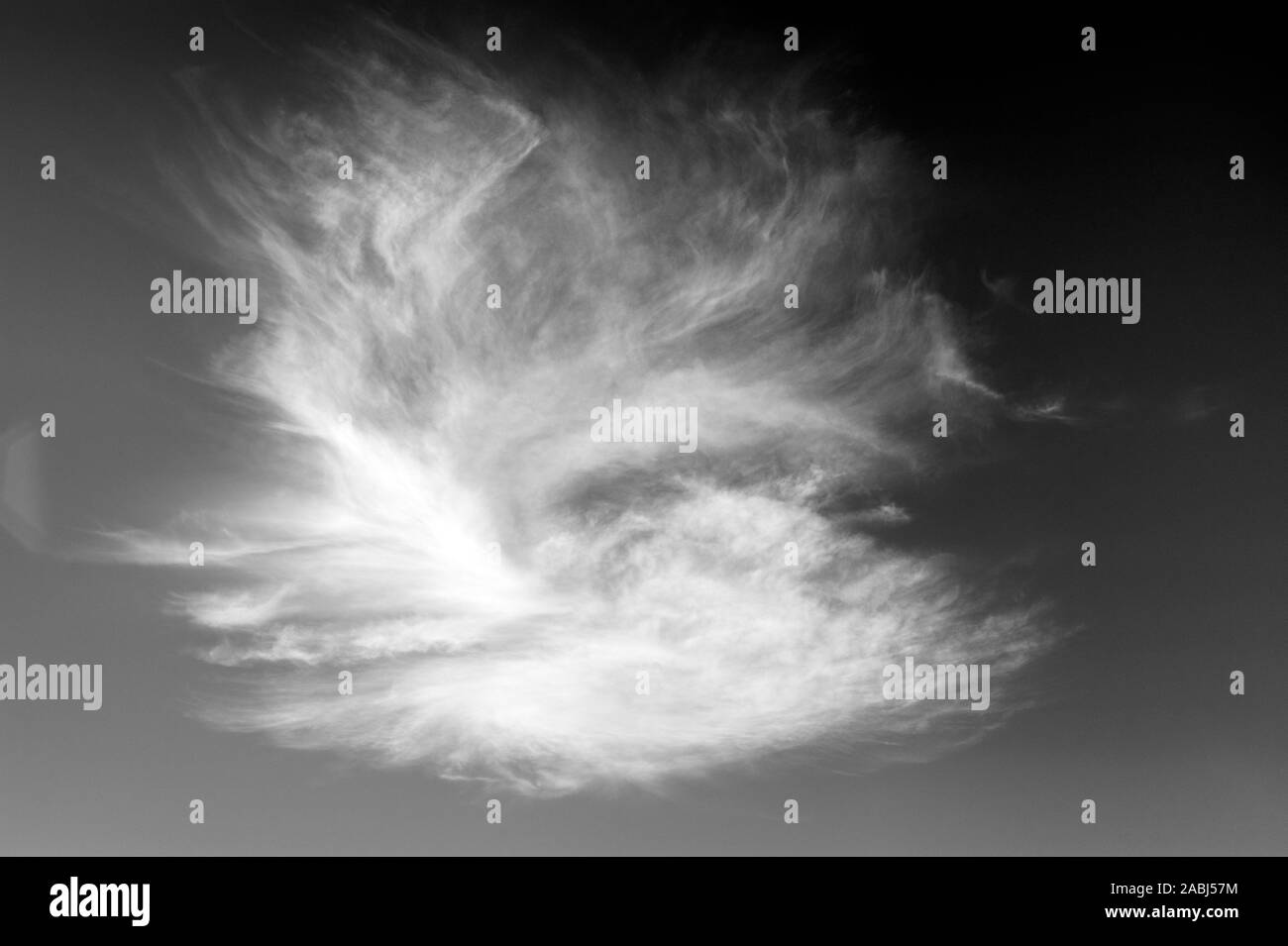 Cirrus clouds in shapes of flying bird in blue sky Stock Photo - Alamy