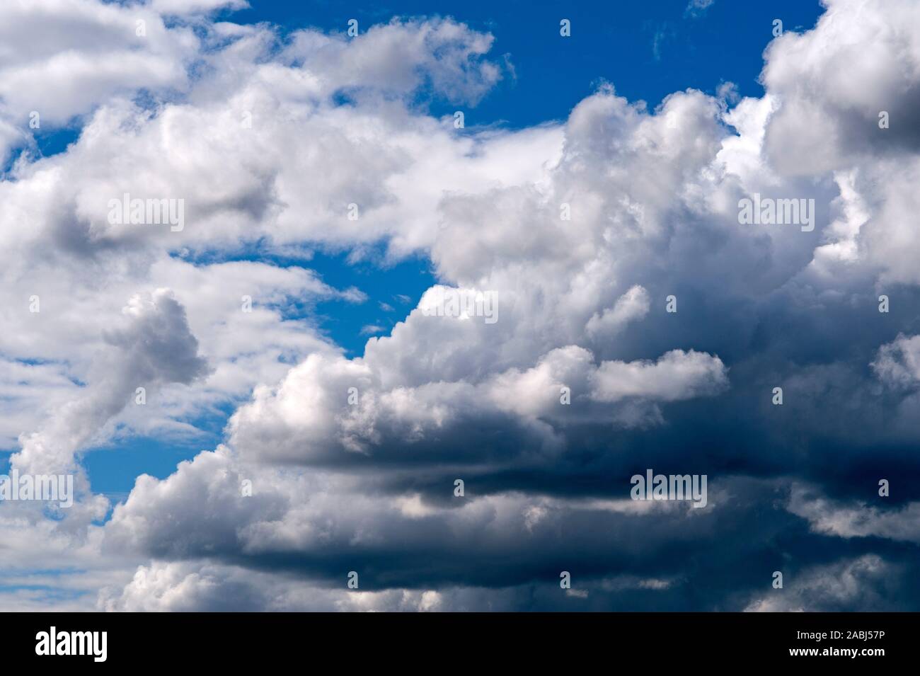 Cumulus clouds with vertical growth in dramatic sky Stock Photo - Alamy