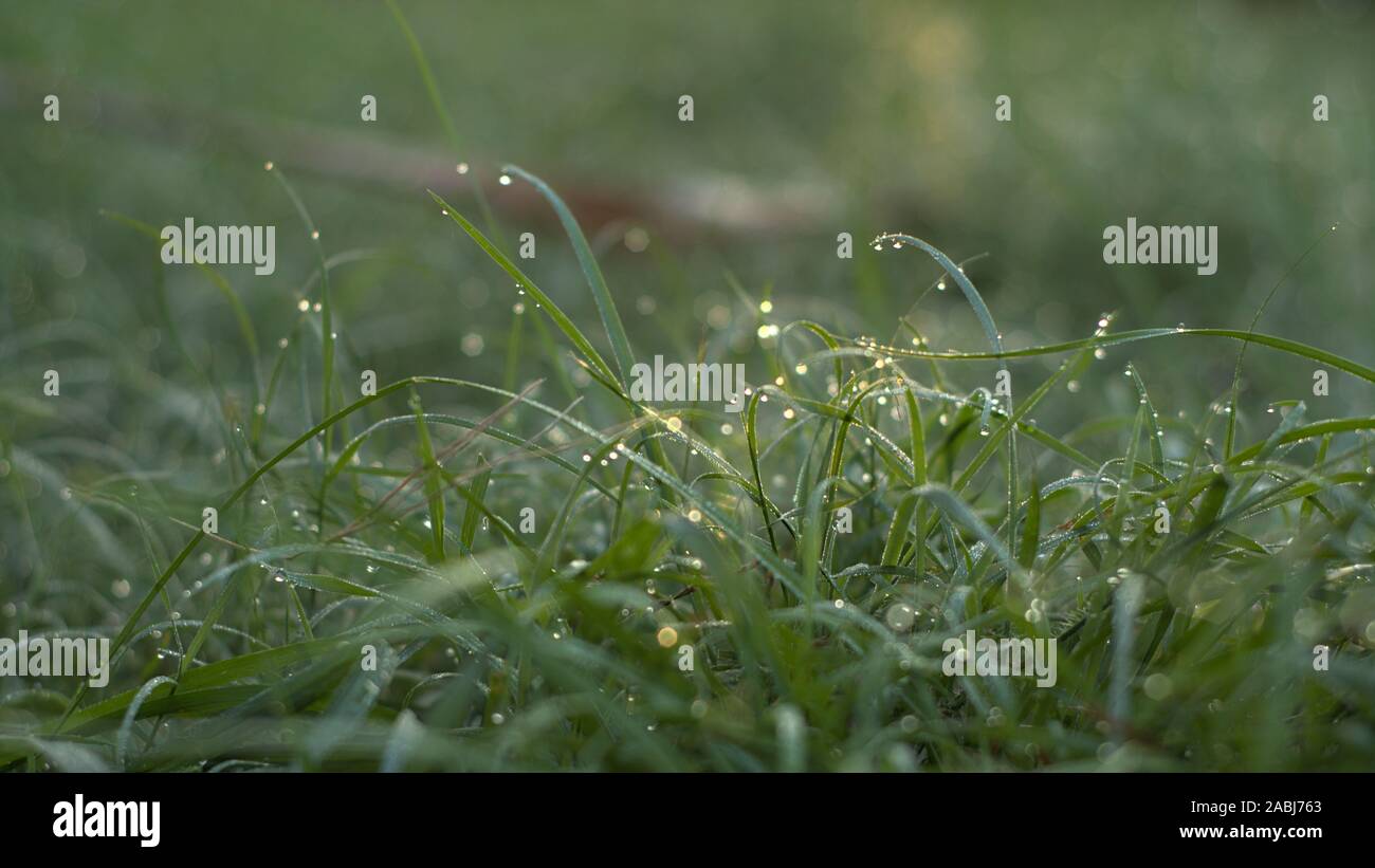 Cold and wet hi-res stock photography and images - Alamy