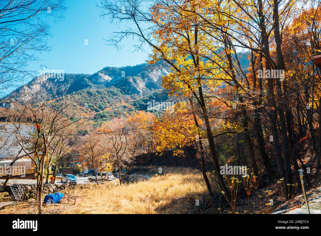 Korea gyeryongsan national park hi-res stock photography and images - Alamy