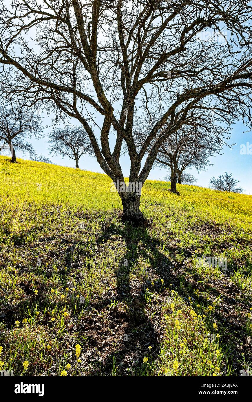 Nature at its Best Stock Photo - Alamy