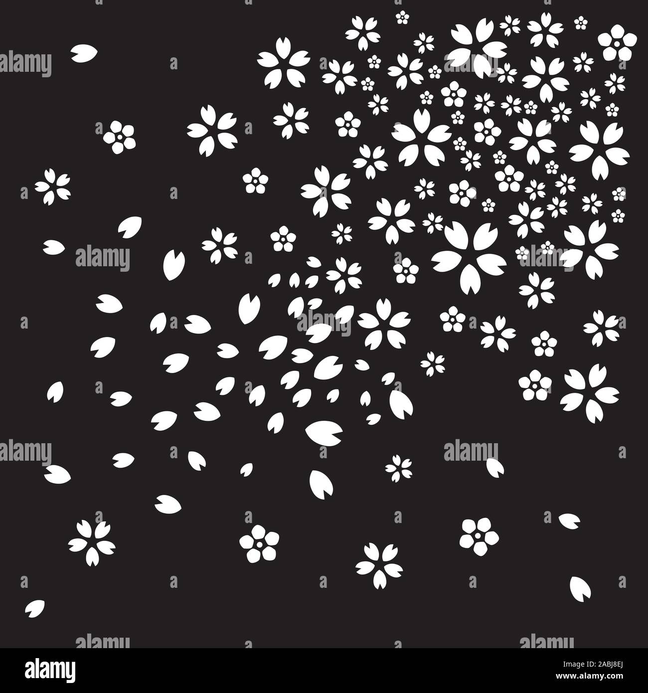 Sakura blooming tree natural Black and White Stock Photos & Images - Alamy