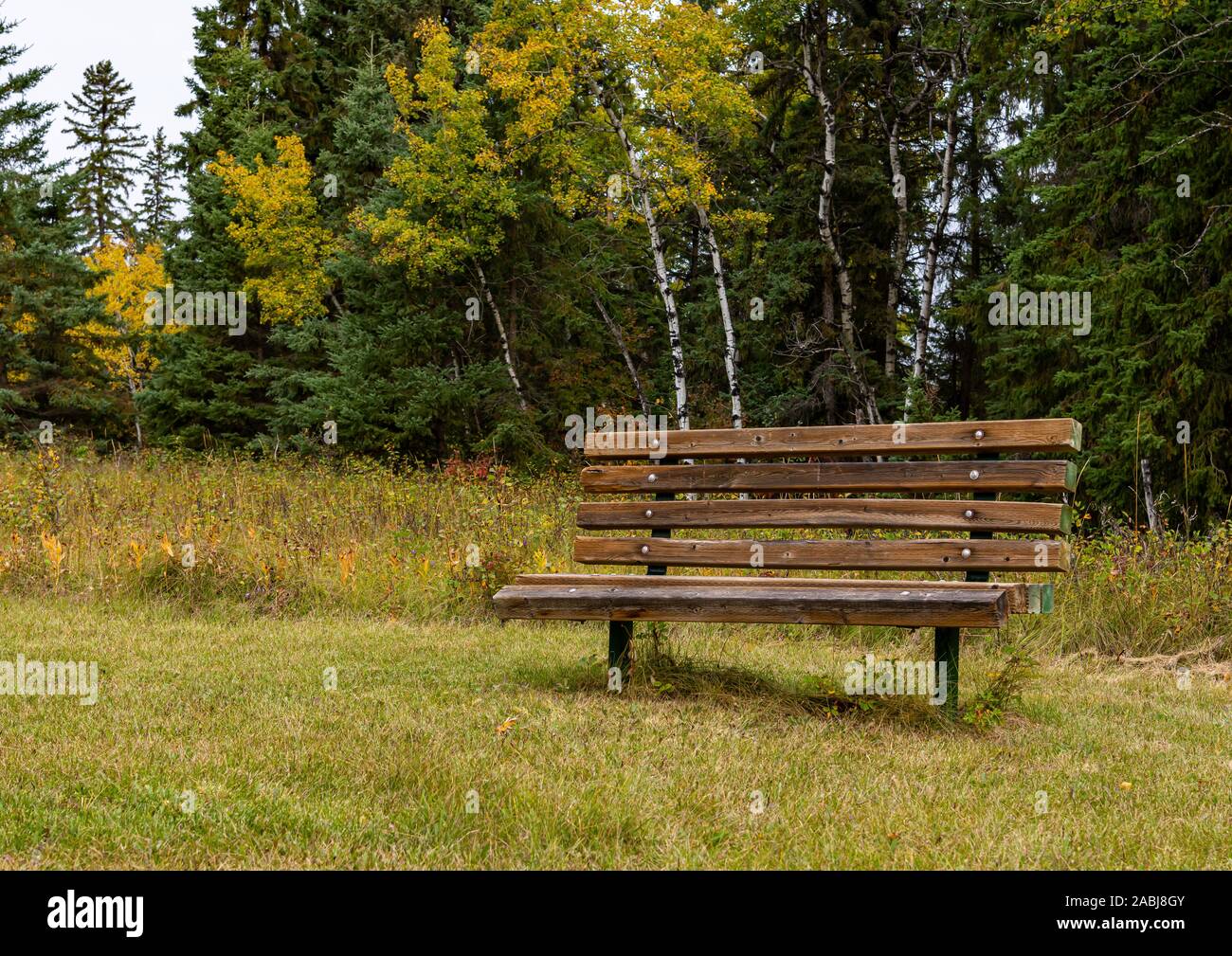 Park bench sitting in a grassy meadow full of fall covered trees Stock ...