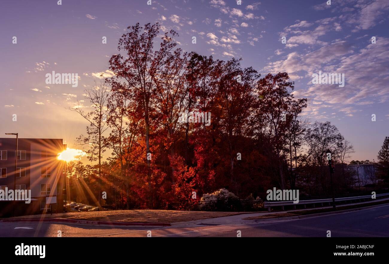 Condo nature hi-res stock photography and images - Alamy