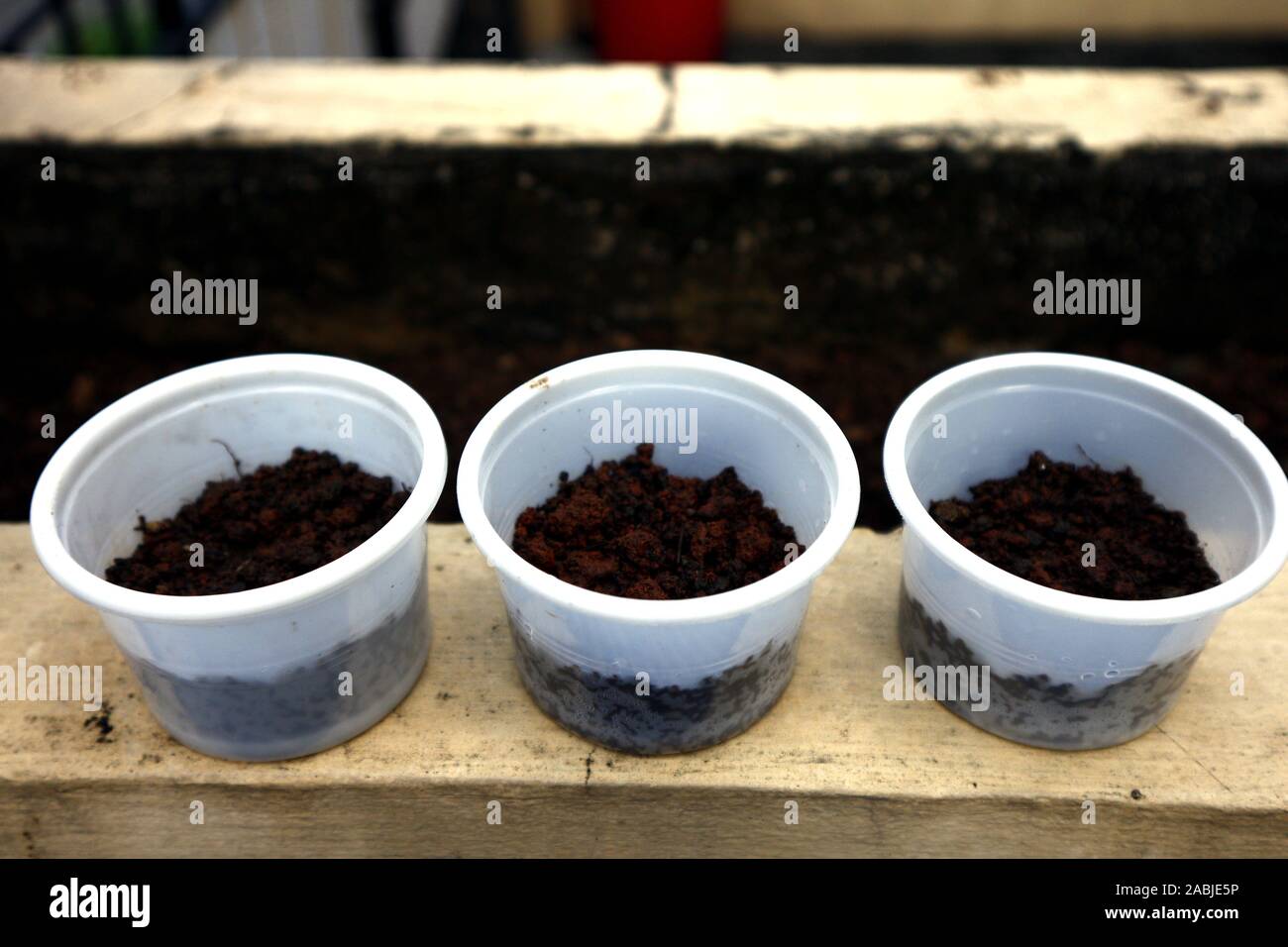 Pictures Of Soil In A Container Soil Container: Over 40,067