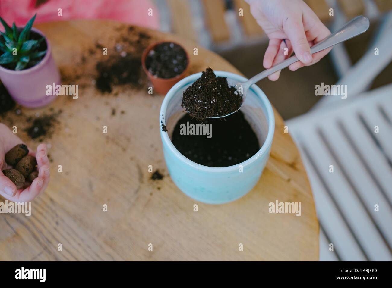 Rosetting hi-res stock photography and images - Alamy