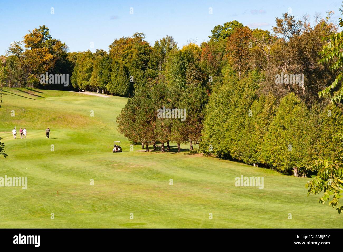 landscape fall foliage at Golf Course Stock Photo - Alamy