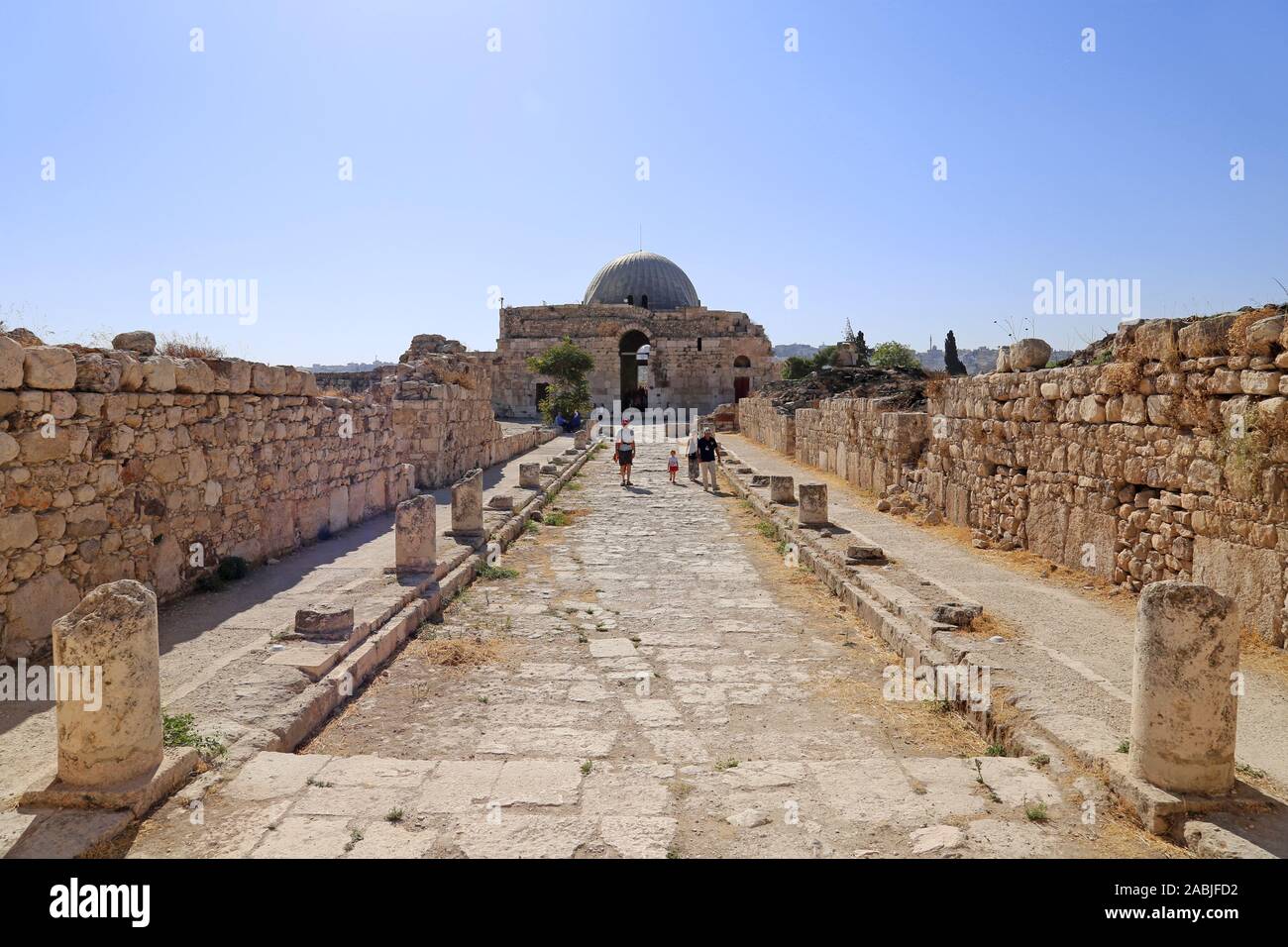 Colonnaded Street and Great Audience Hall, Umayyad Palace, Citadel, Ali ...