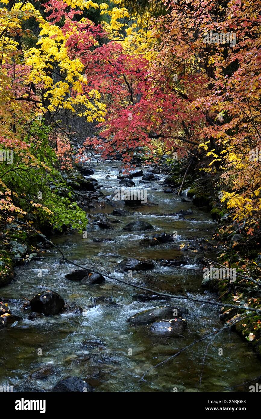Rainbow Creek in Stehekin is fed by world famous 312 foot Rainbow Falls ...