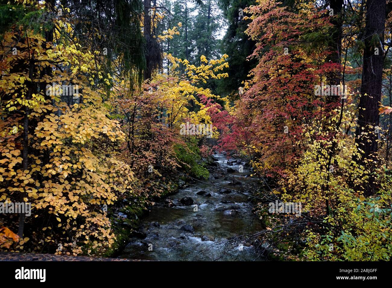 Rainbow Creek in Stehekin is fed by world famous 312 foot Rainbow Falls ...