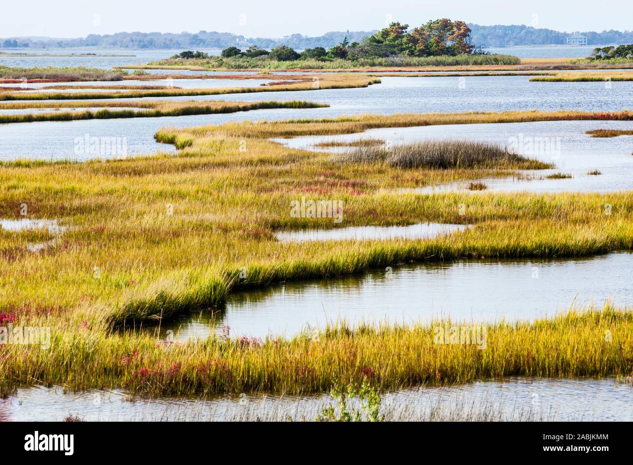 Fall salt marsh scenic hi-res stock photography and images - Alamy