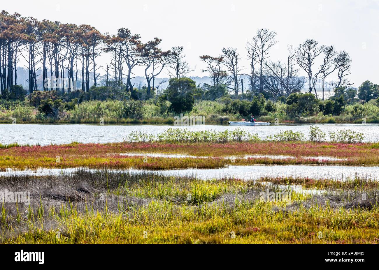 A kayaker blends into the landscape of the salt marshes on the inner ...