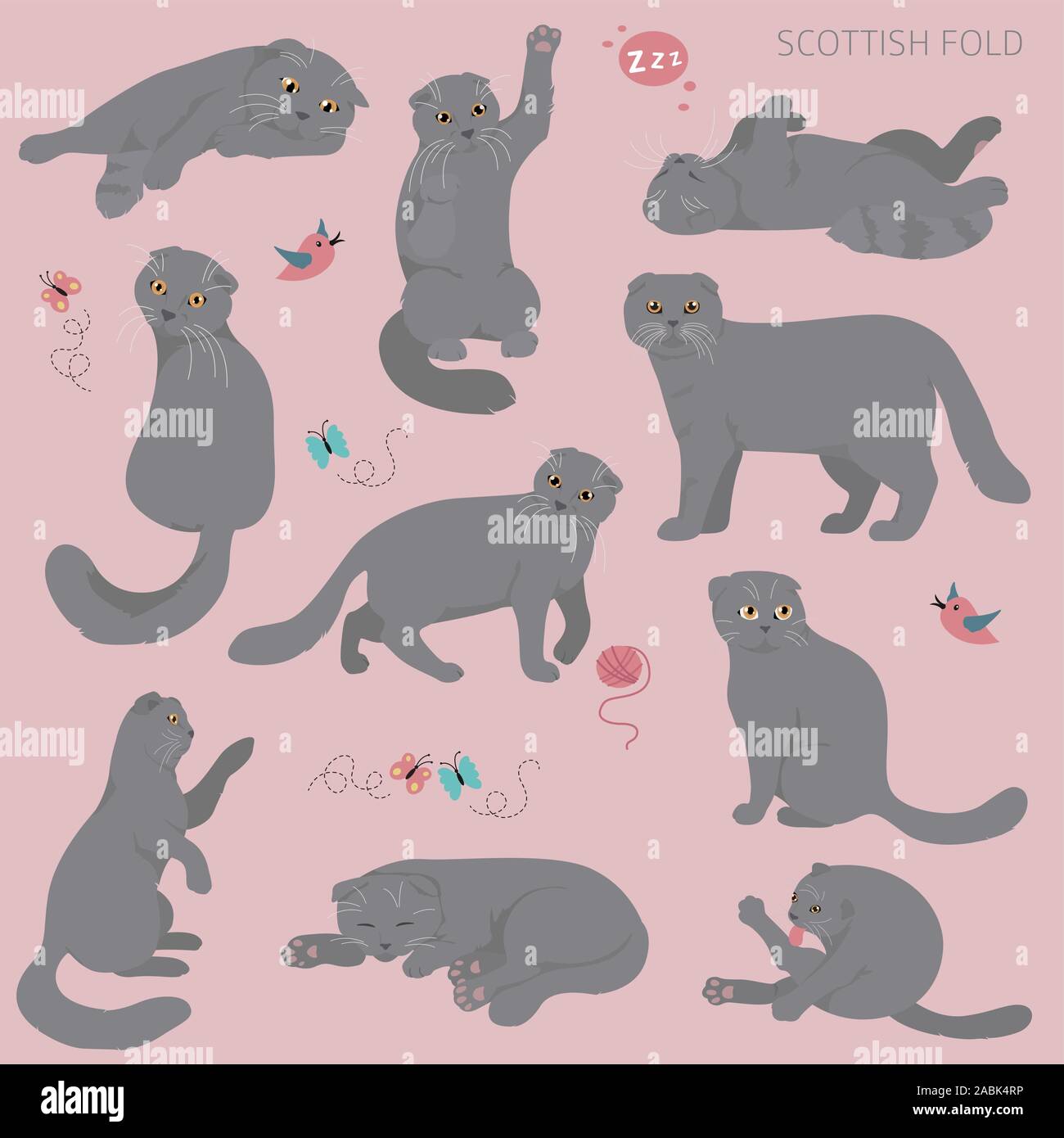 Cartoon cat characters collection. Scottish fold`s poses and emotions ...