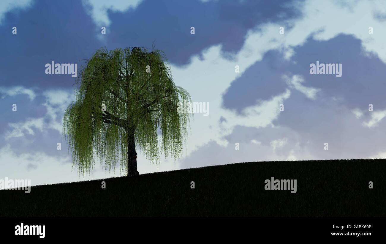 Tree At Night Background 3D Rendering Stock Photo - Alamy