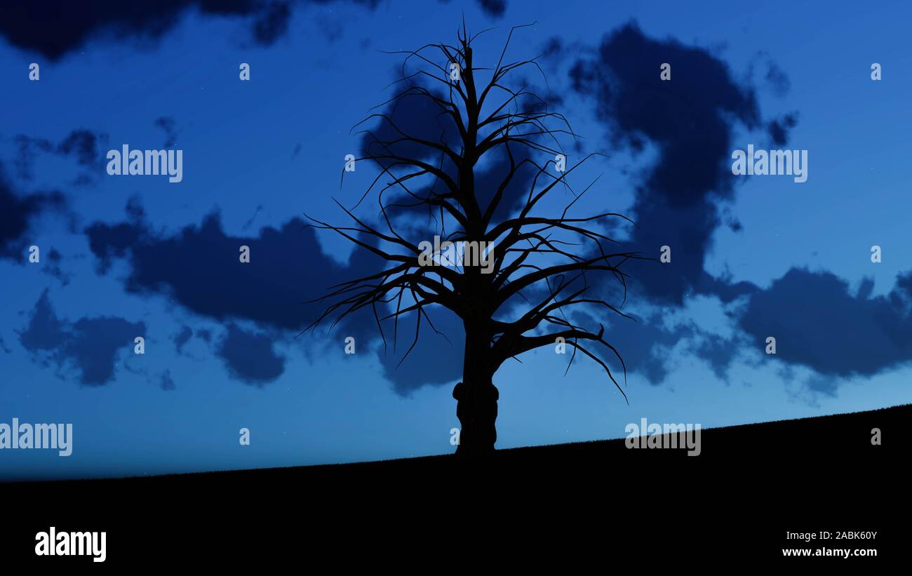 Tree At Night Background 3D Rendering Stock Photo - Alamy