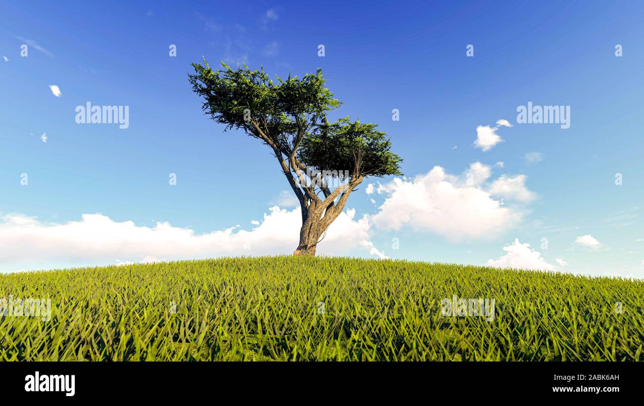 One Tree At Sky Background 3D Rendering Stock Photo - Alamy