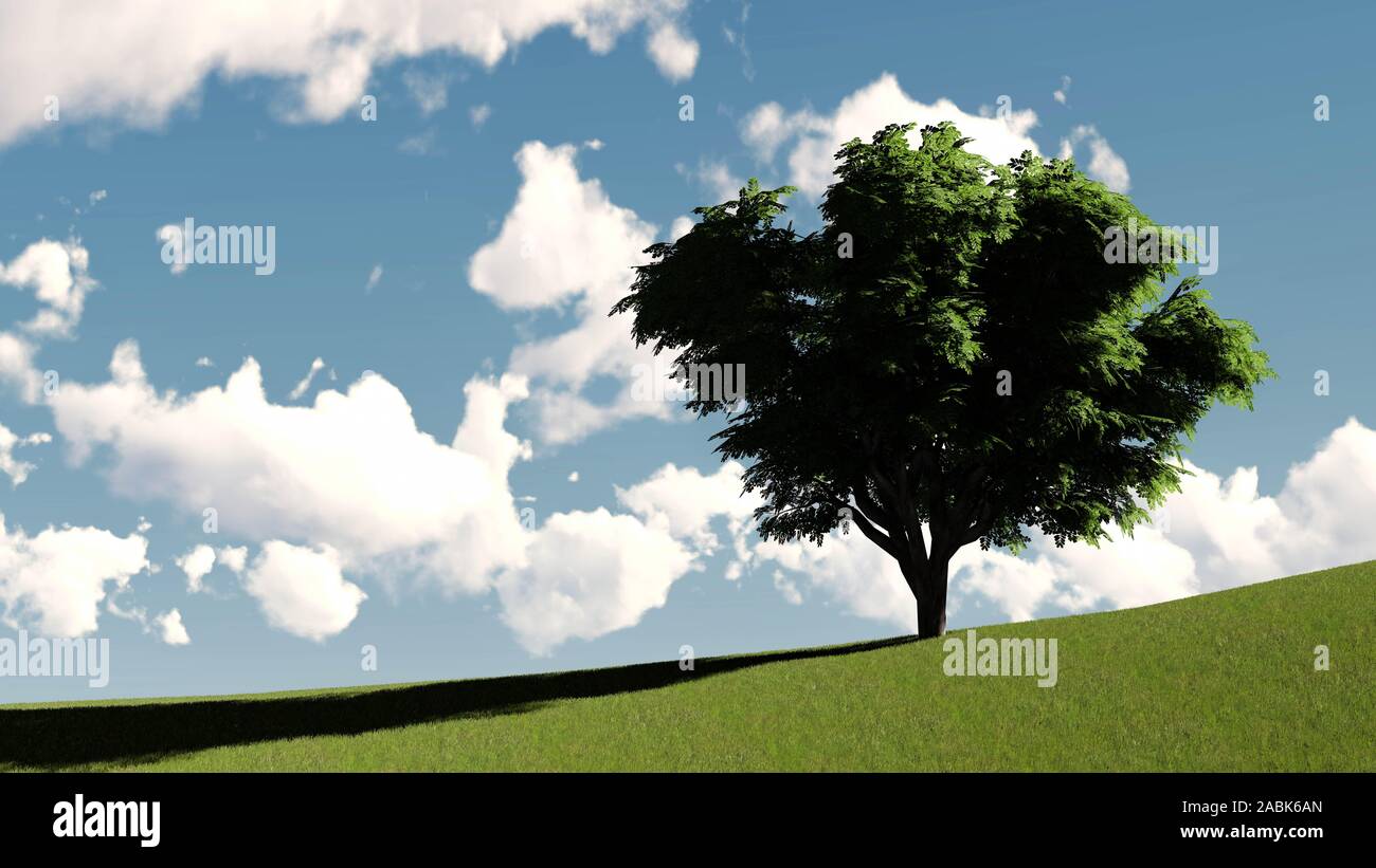 One Tree At Sky Background 3D Rendering Stock Photo - Alamy