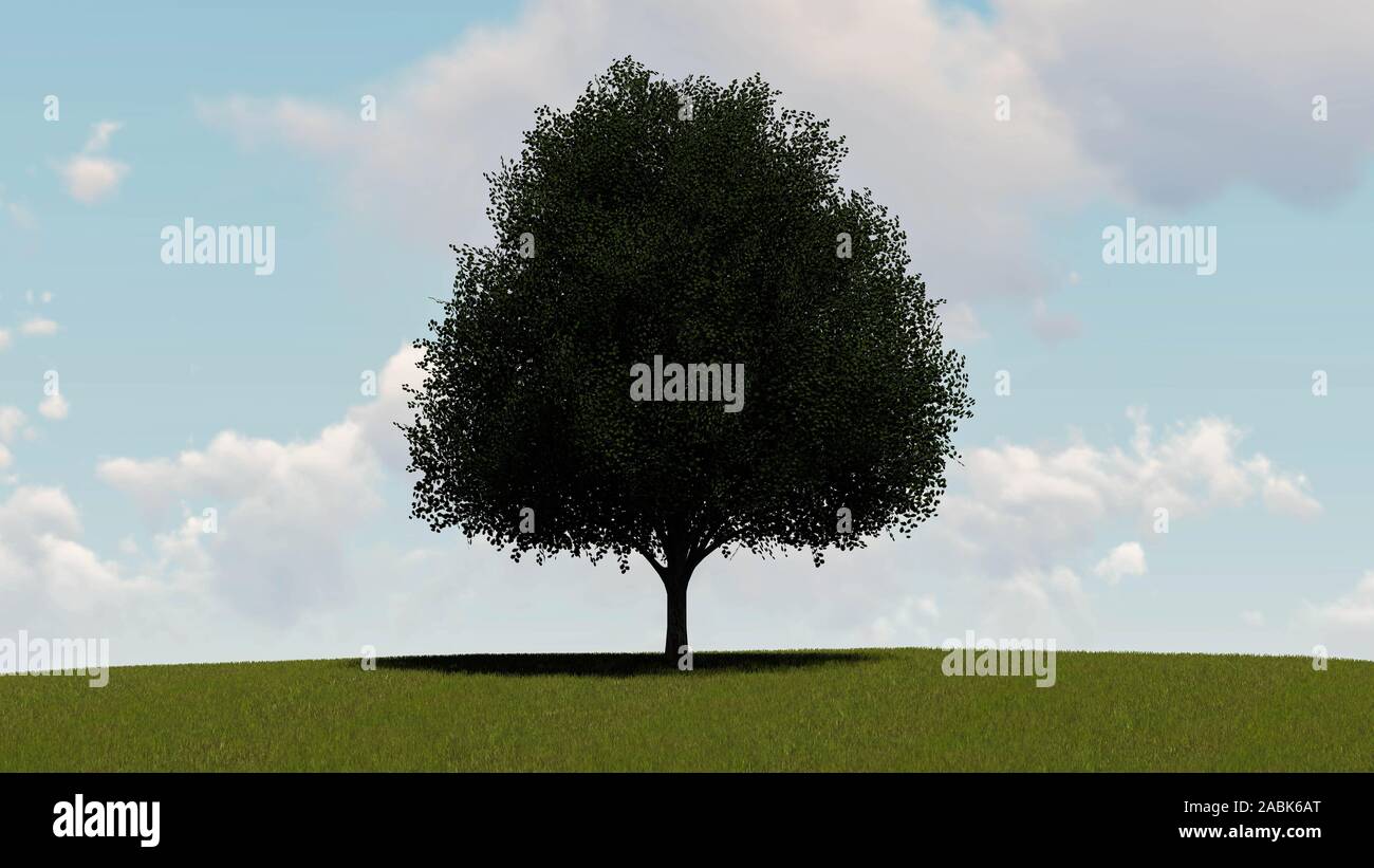 One Tree At Sky Background 3D Rendering Stock Photo - Alamy