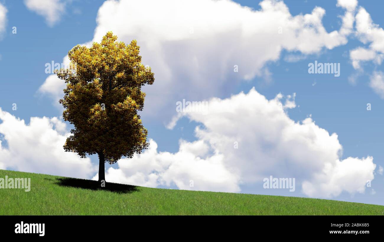 One Tree At Sky Background 3D Rendering Stock Photo - Alamy