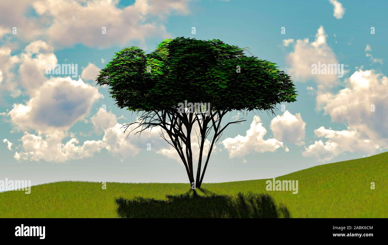 One Tree At Sky Background 3D Rendering Stock Photo - Alamy