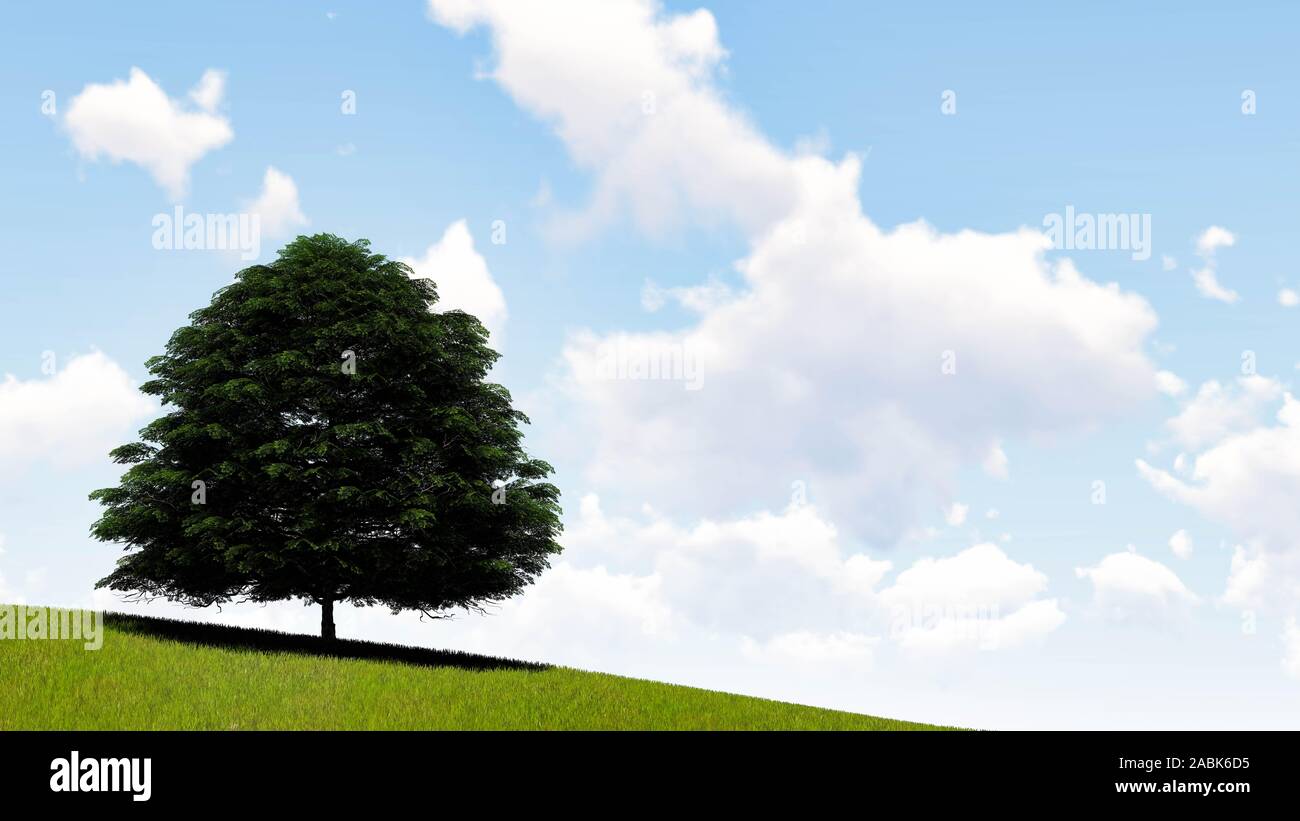 One Tree At Sky Background 3D Rendering Stock Photo - Alamy