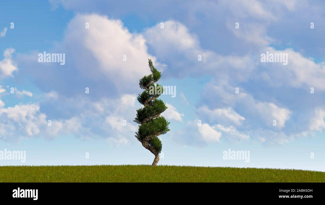 One Tree At Sky Background 3D Rendering Stock Photo - Alamy