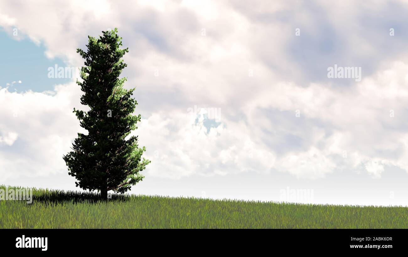 One Tree At Sky Background 3D Rendering Stock Photo - Alamy