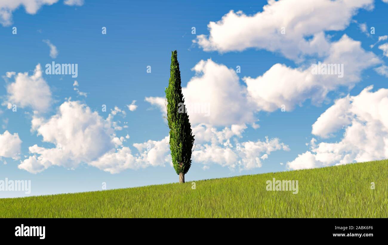 One Tree At Sky Background 3D Rendering Stock Photo - Alamy