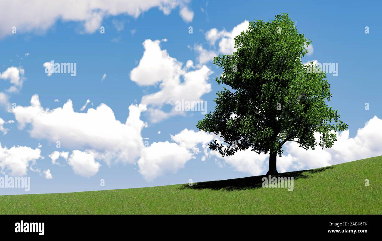 One Tree At Sky Background 3D Rendering Stock Photo - Alamy