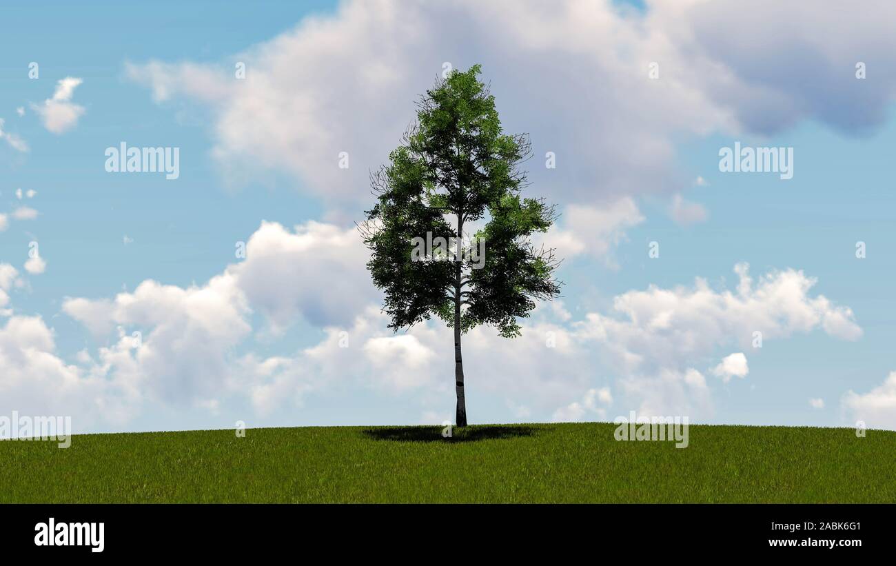 One Tree At Sky Background 3D Rendering Stock Photo - Alamy