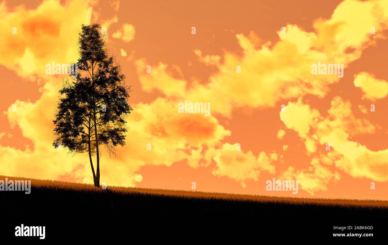 One Tree At Sky Background 3D Rendering Stock Photo - Alamy