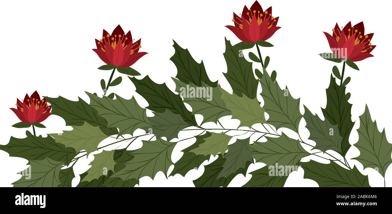 Isolated winter flowers vector design Stock Vector Image & Art - Alamy