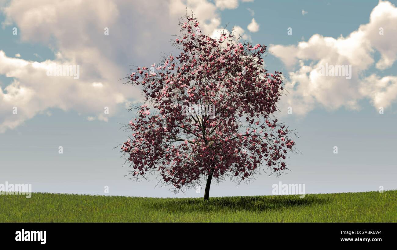 One Tree At Sky Background 3D Rendering Stock Photo - Alamy