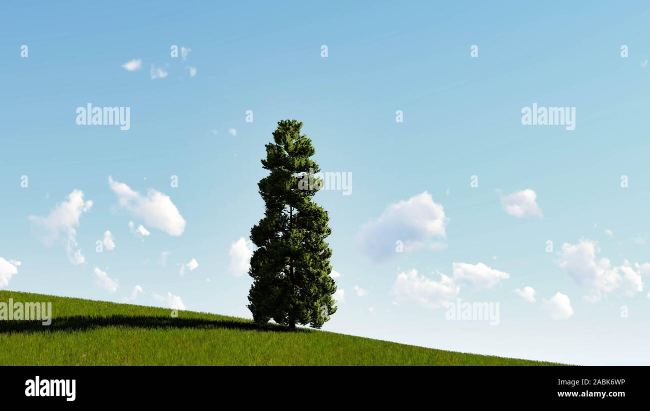 One Tree At Sky Background 3D Rendering Stock Photo - Alamy