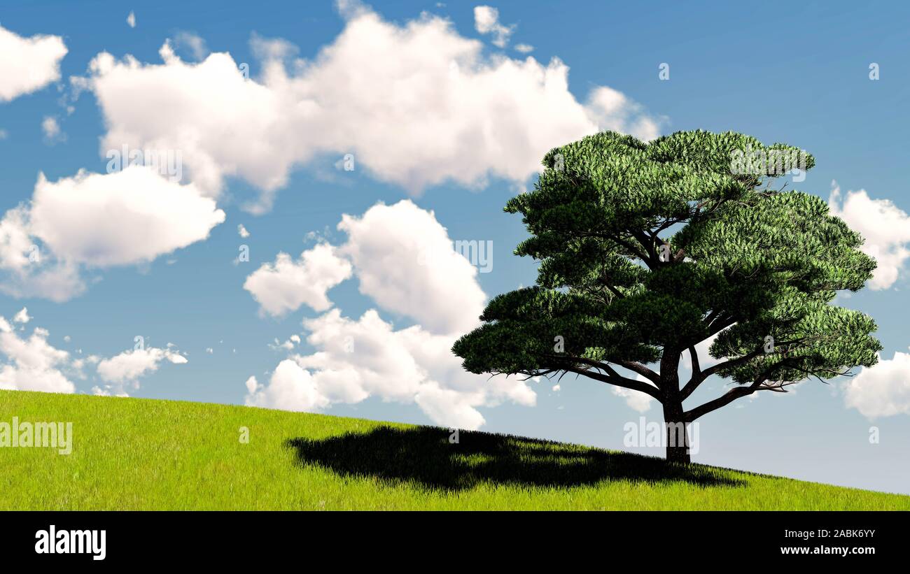 One Tree At Sky Background 3D Rendering Stock Photo - Alamy