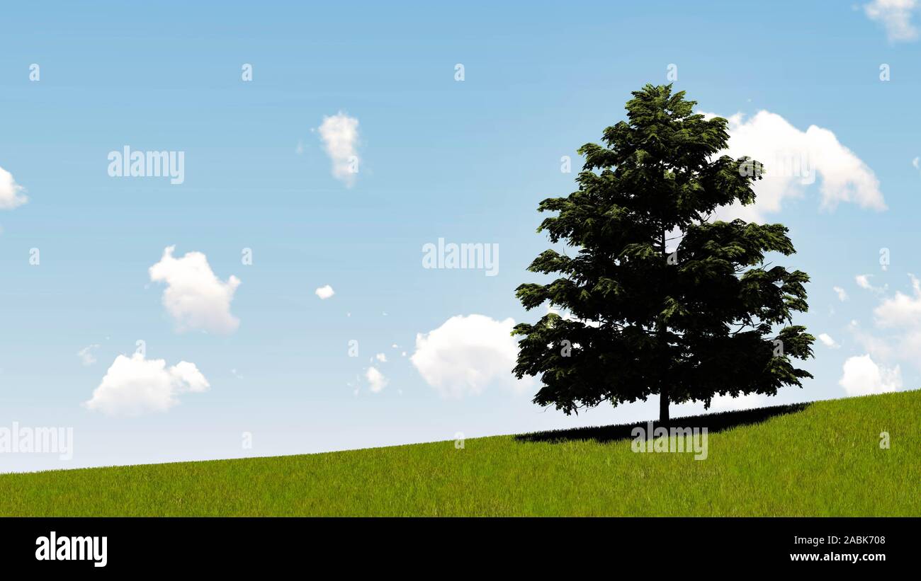 One Tree At Sky Background 3D Rendering Stock Photo - Alamy