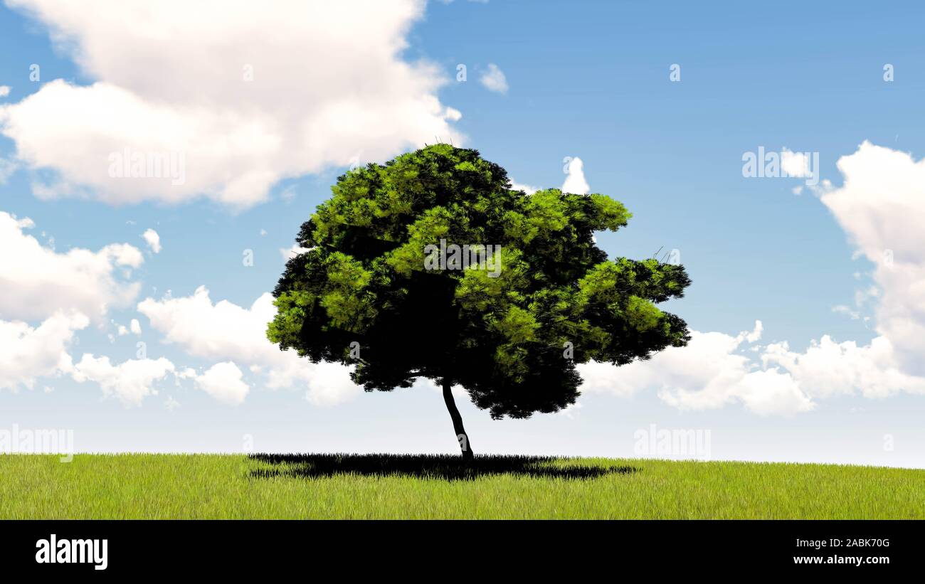 One Tree At Sky Background 3D Rendering Stock Photo - Alamy