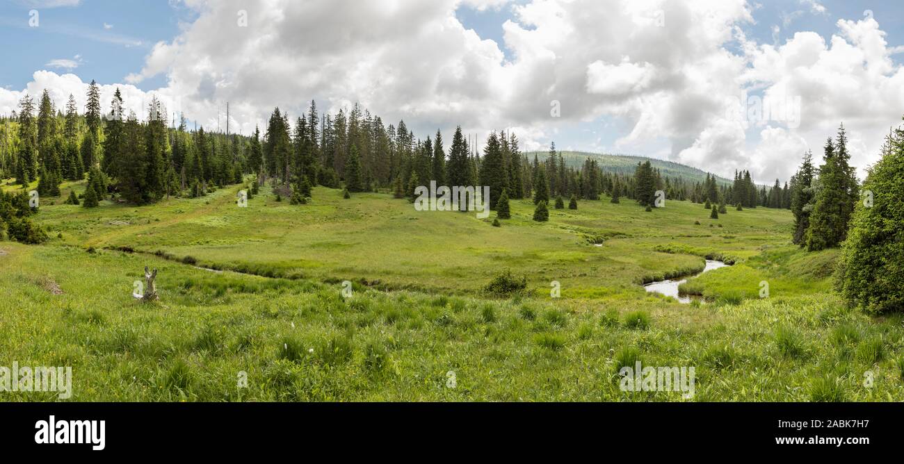 Bohemian forest national park hi-res stock photography and images - Alamy
