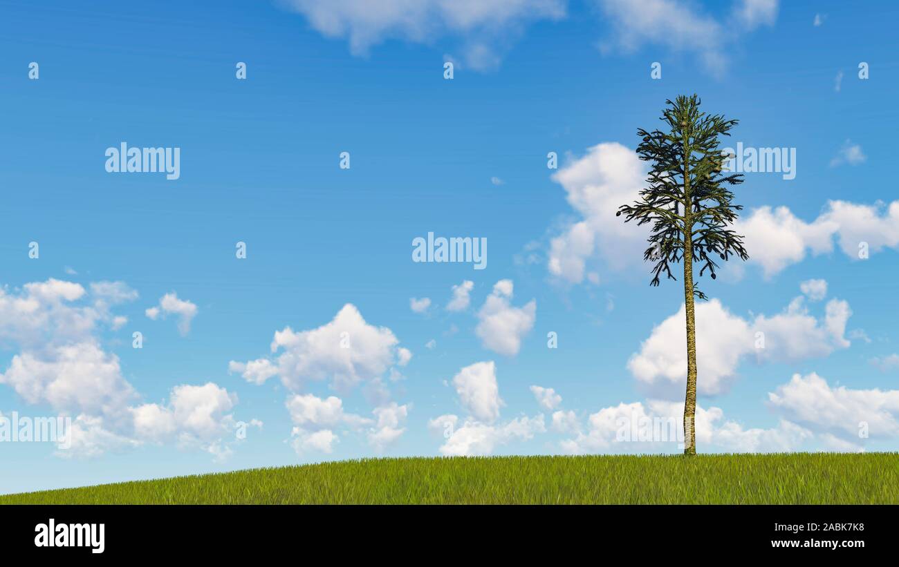 One Tree At Sky Background 3D Rendering Stock Photo - Alamy