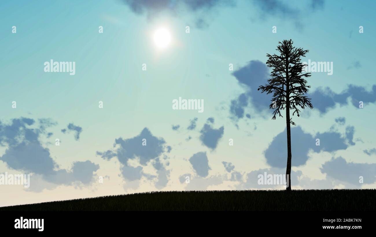 One Tree At Sky Background 3D Rendering Stock Photo - Alamy