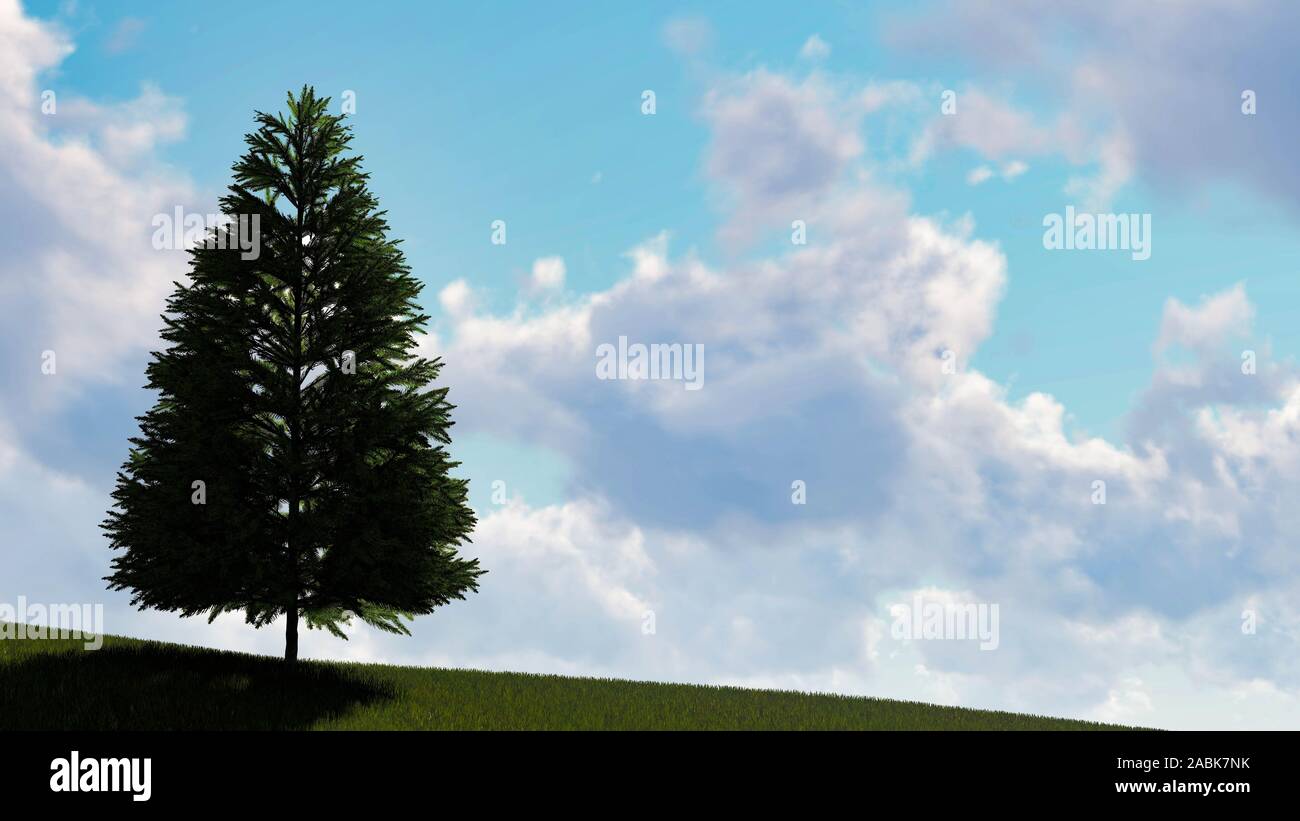 One Tree At Sky Background 3D Rendering Stock Photo - Alamy