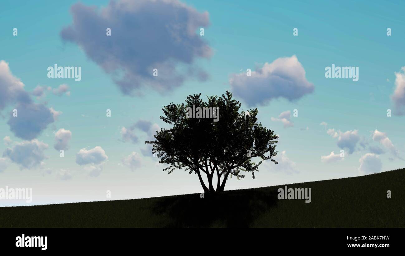 One Tree At Sky Background 3D Rendering Stock Photo - Alamy