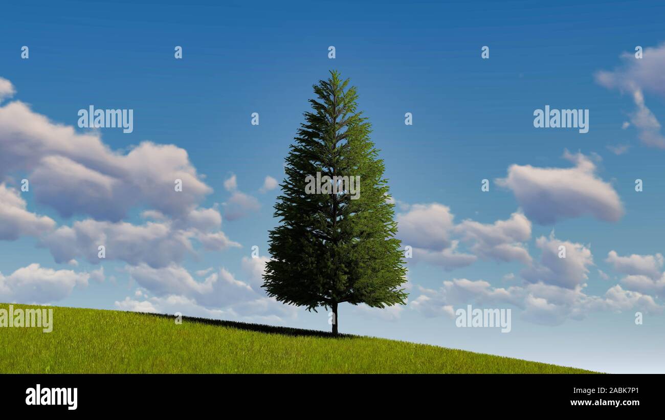 One Tree At Sky Background 3D Rendering Stock Photo - Alamy