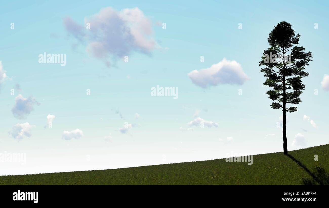 One Tree At Sky Background 3D Rendering Stock Photo - Alamy
