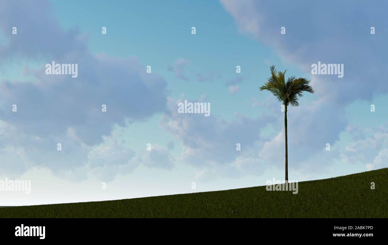 One Palm on Sky Background 3D Rendering Stock Photo - Alamy