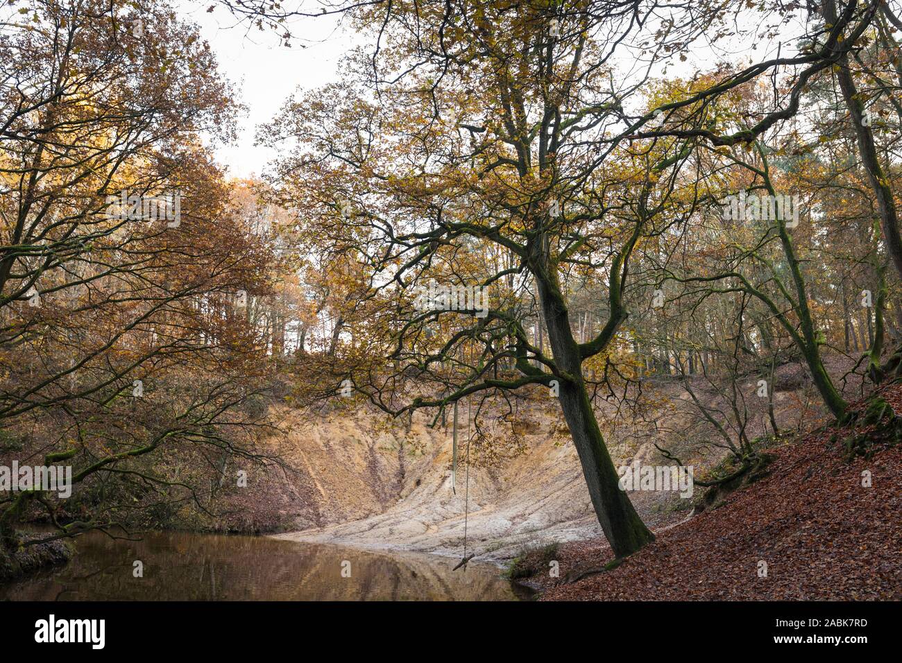Landscape stream valley "leudal" with oak trees in autumn and ...