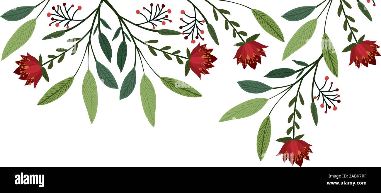 Isolated winter flowers vector design Stock Vector Image & Art - Alamy