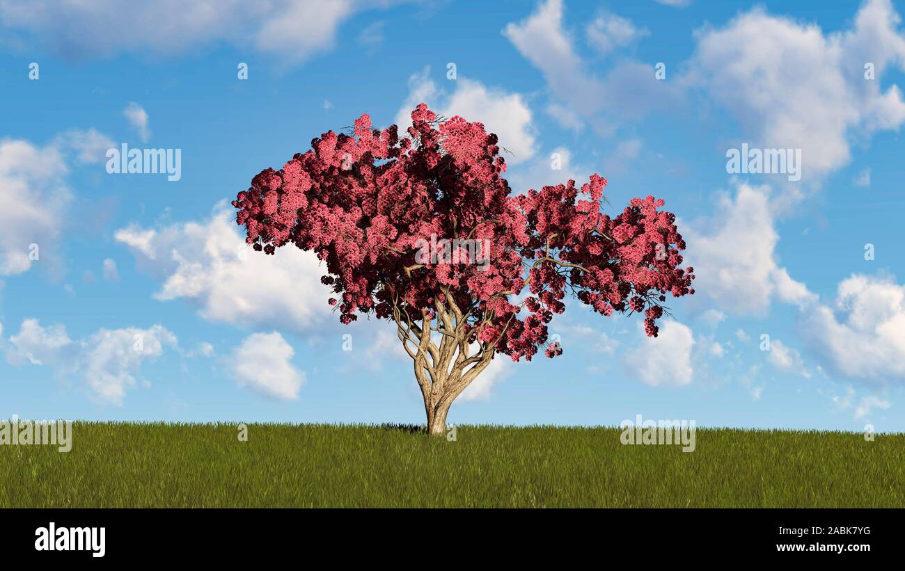 One Tree At Sky Background 3D Rendering Stock Photo - Alamy